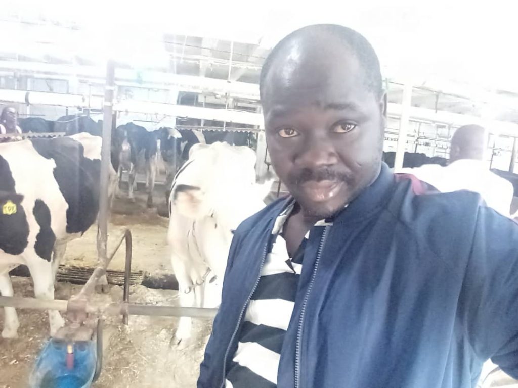 Ghana yet to explore the potentials of value-added cattle production ...