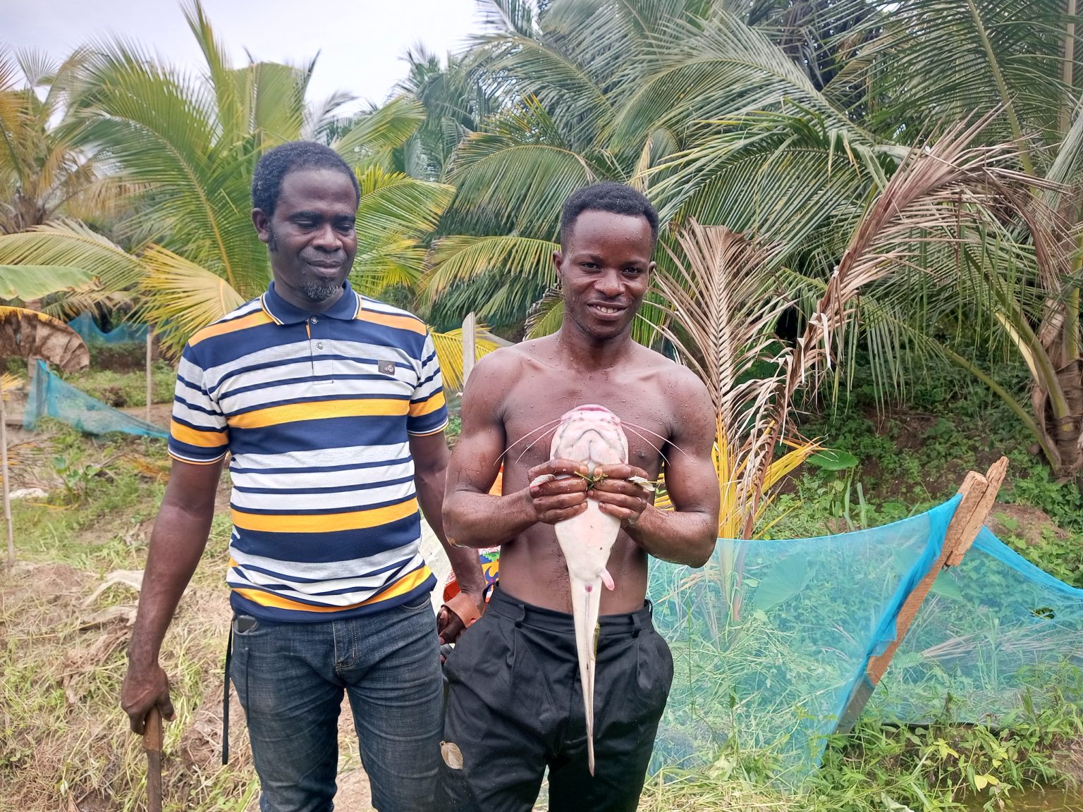 7 Young Artisans Venture into Fish Farming to Address Ghana's Fish ...