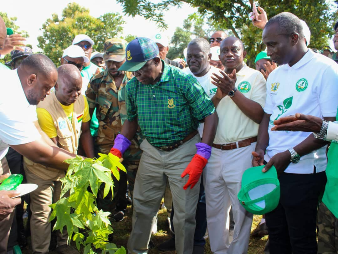 GHANA EXCEEDS 2024 GREEN GHANA TARGET, DISTRIBUTES OVER 13 MILLION ...
