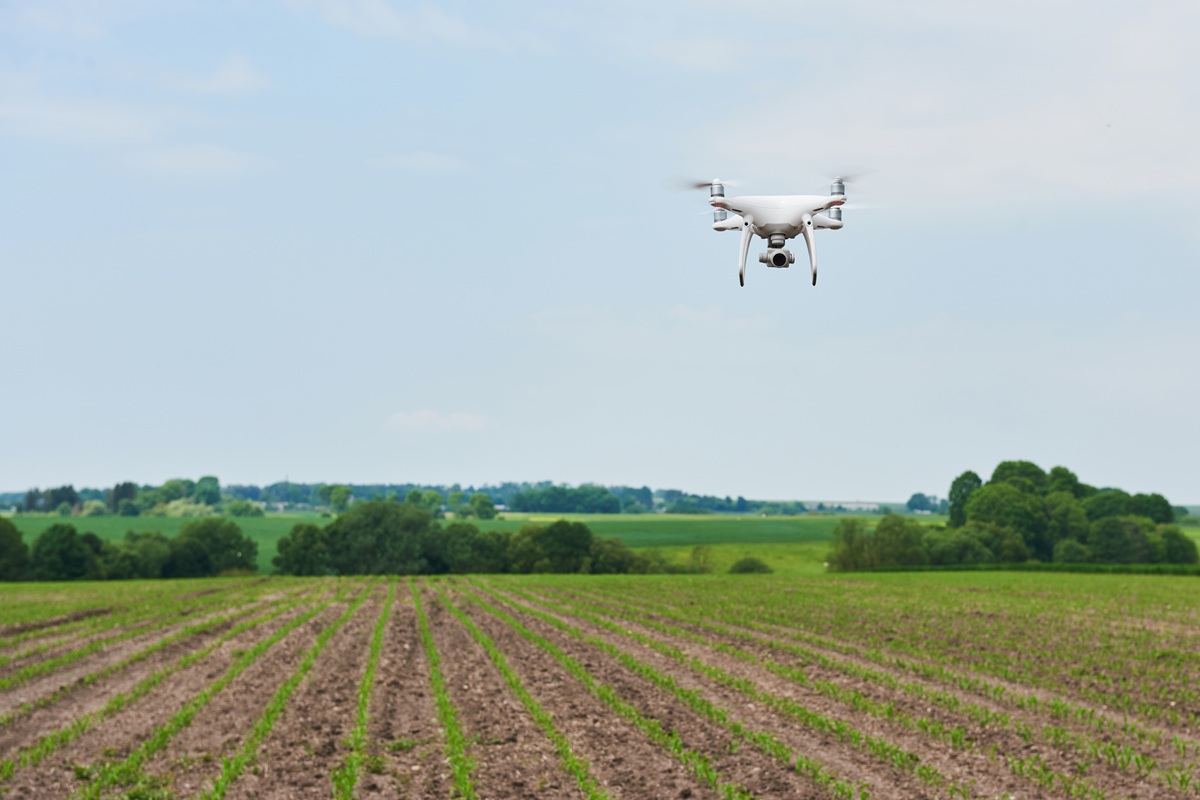 Global phosphorus summit to address threats to food and water security ...