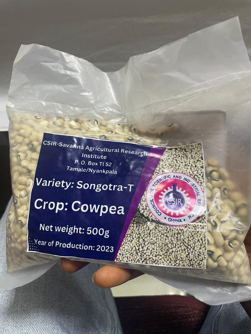 Ghana’s BT cowpea milestone: A conversation with Prof. Walter Alhassan ...